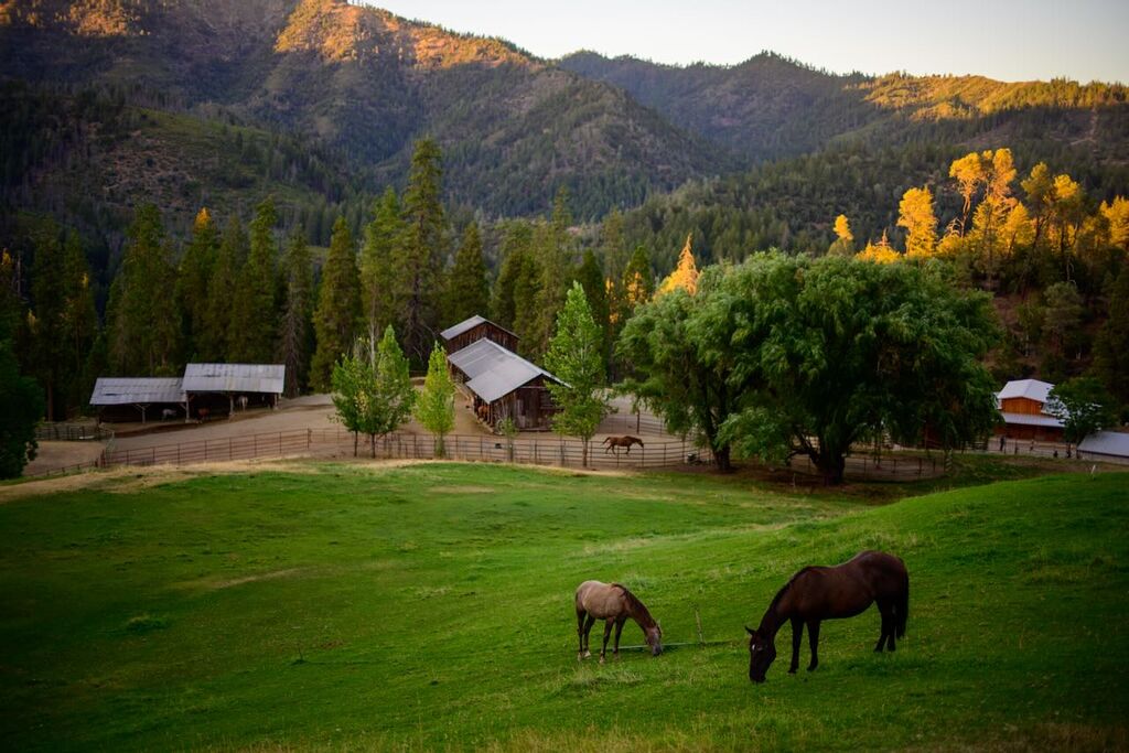 Mountain Ranch Living at Northern California Summer Camp! - CoolWorks.com