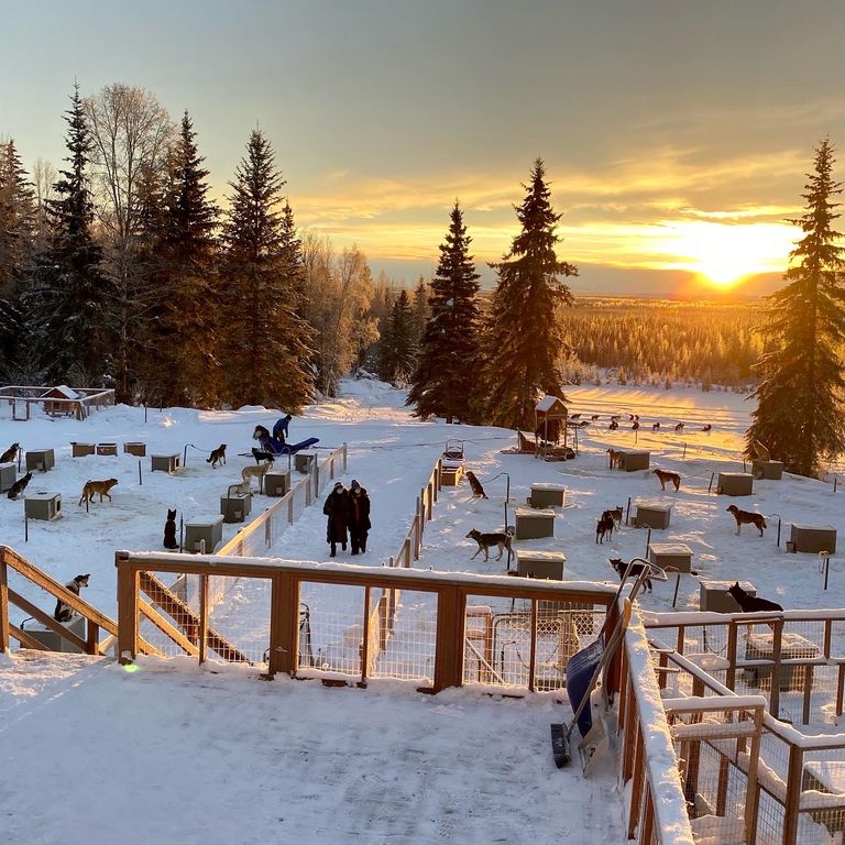 Paws for Adventure - Tour Coordinator - CoolWorks.com